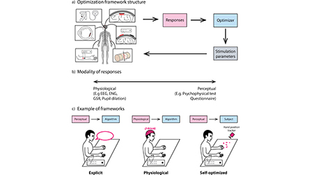 Optimization frameworks for bespoke sensory encoding in ...