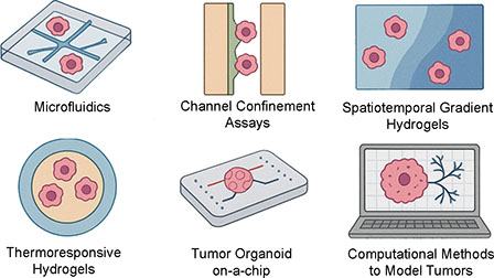 Applying physical principles to cancer research | APL Bioengineering ...