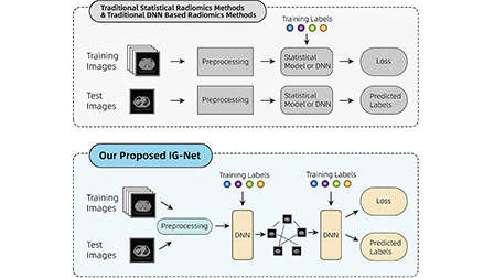 Learning discrete structures for cancer radiomics | APL Bioengineering ...
