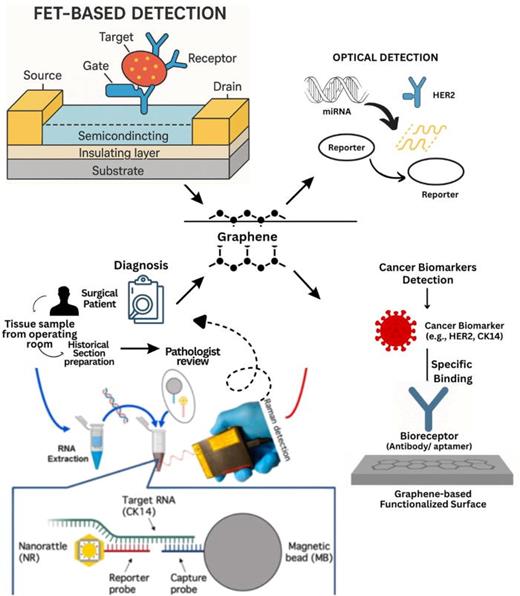 A comprehensive review of graphene-based biosensors: Fabrication ...