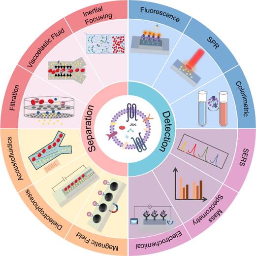 Integrated microfluidic platforms for extracellular vesicles ...