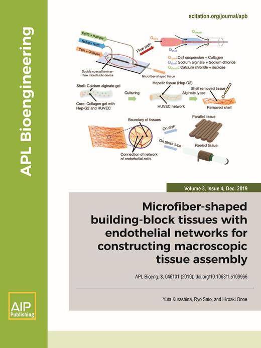 Volume 3 Issue 4 | APL Bioengineering | AIP Publishing