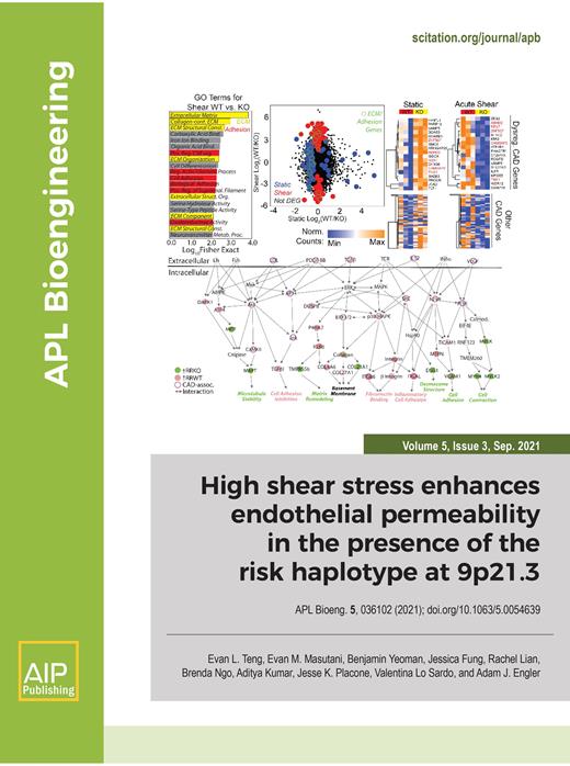 Volume 5 Issue 3 | APL Bioengineering | AIP Publishing