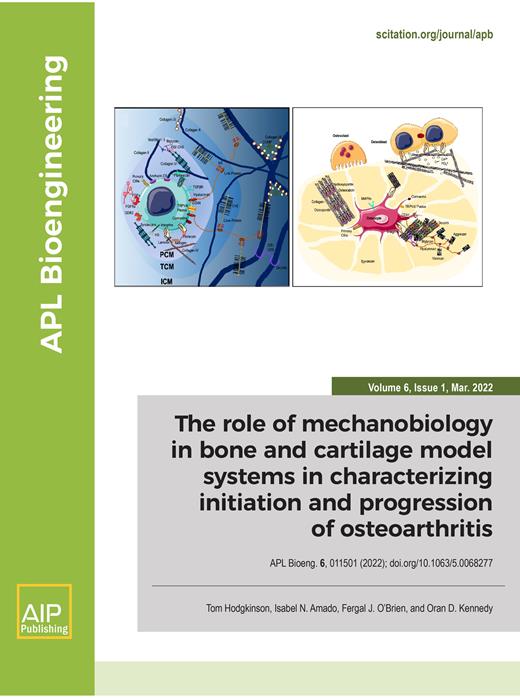 Volume 6 Issue 1 | APL Bioengineering | AIP Publishing