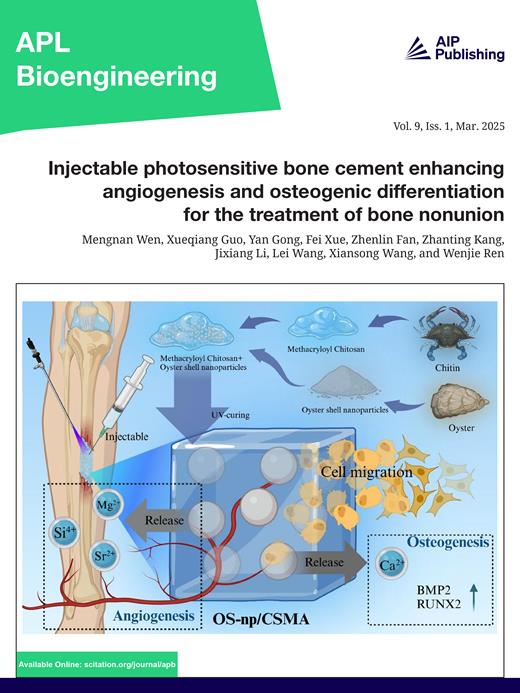 APL Bioengineering | AIP Publishing