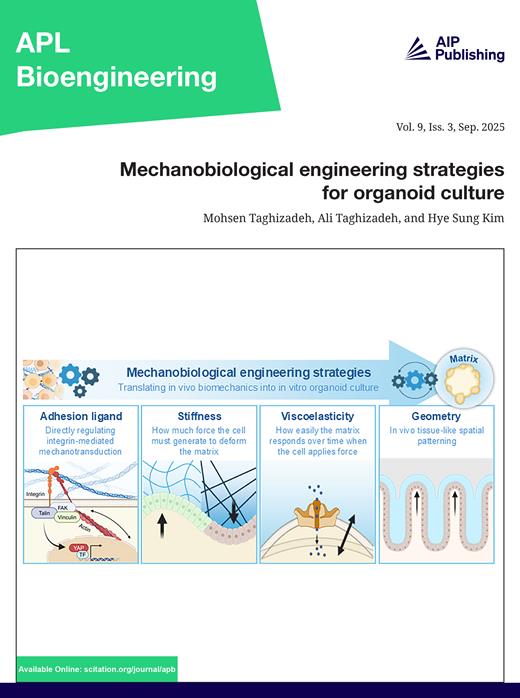 APL Bioengineering | AIP Publishing