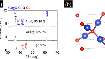 Critical and controversial issues pertaining to the growth and ...