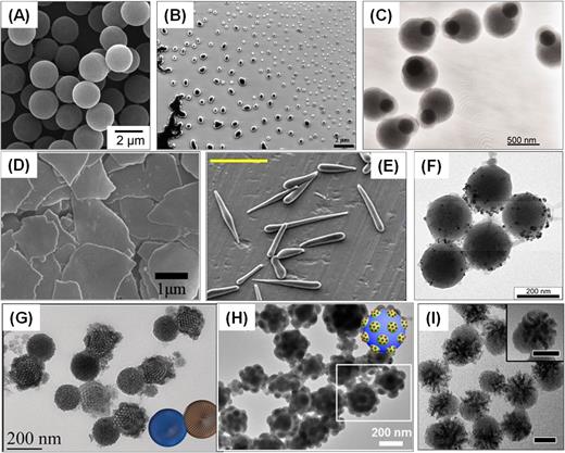 Recent progresses on Janus electrocatalysts for water electrolysis: A ...