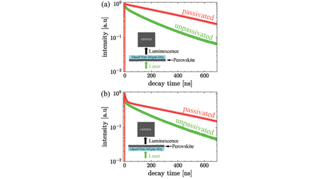 Quantifying recombination and charge carrier extraction in halide ...
