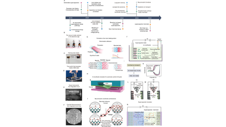 Supercapacitor-based ionic computing devices: A vision for future ...
