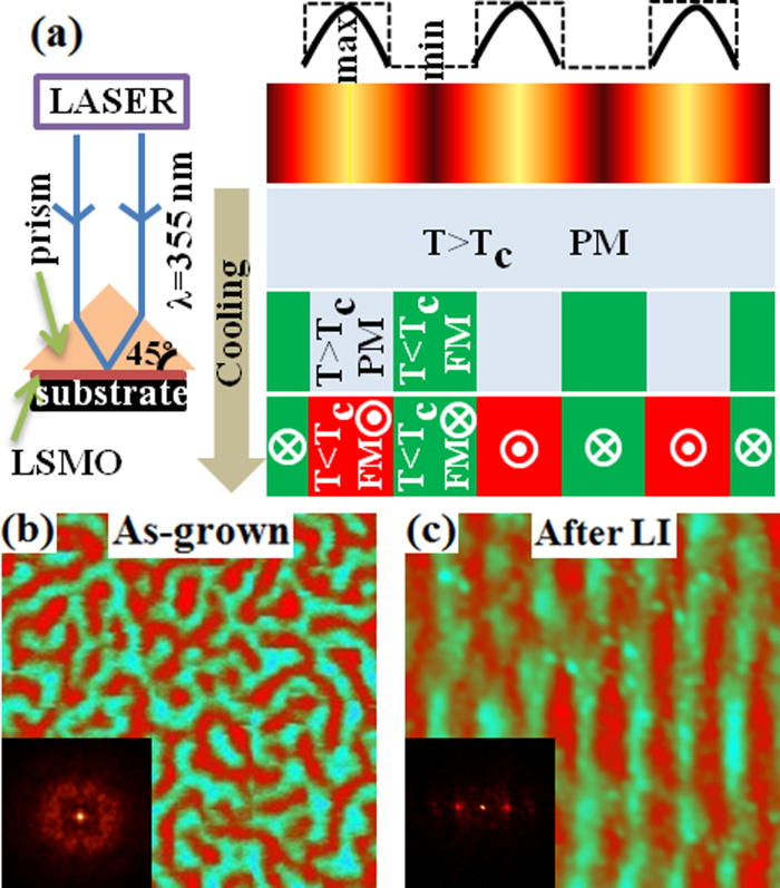 Engineering magnetic domains in manganite thin films by laser ...
