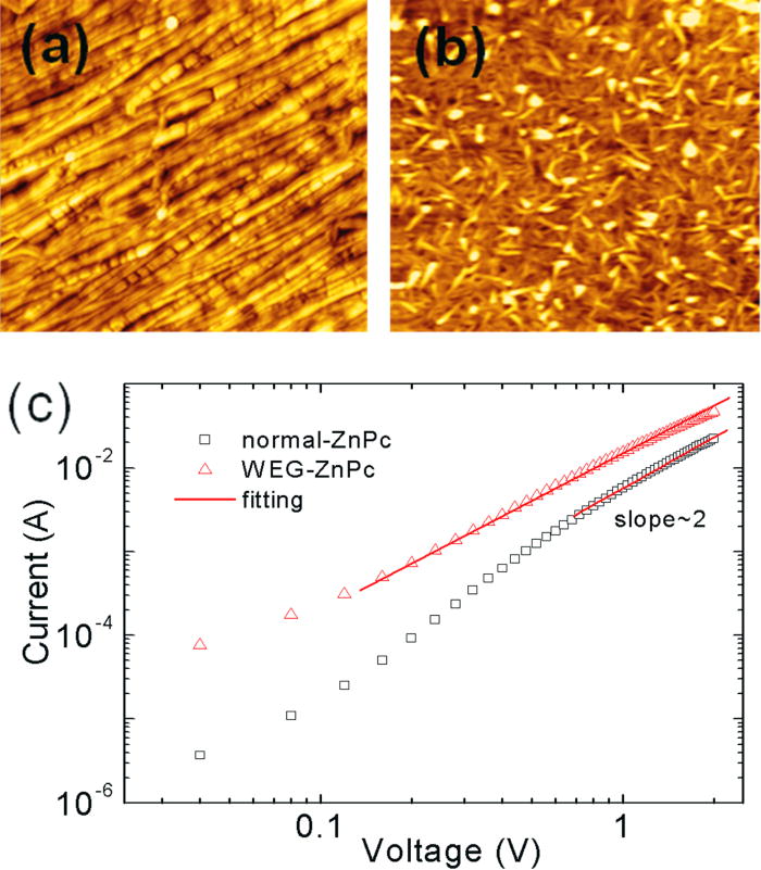 Simultaneous enhancement of charge transport and exciton diffusion in ...