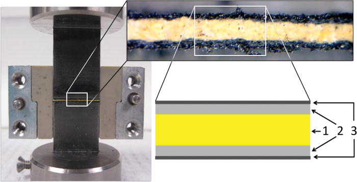 Nanostructured all-solid-state supercapacitor based on Li2S-P2S5 glass ...