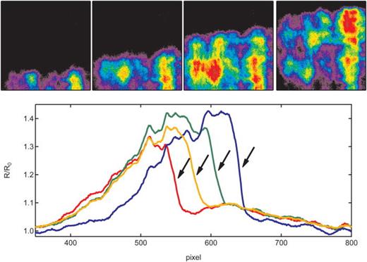X-ray–optical cross-correlator for gas-phase experiments at the Linac ...