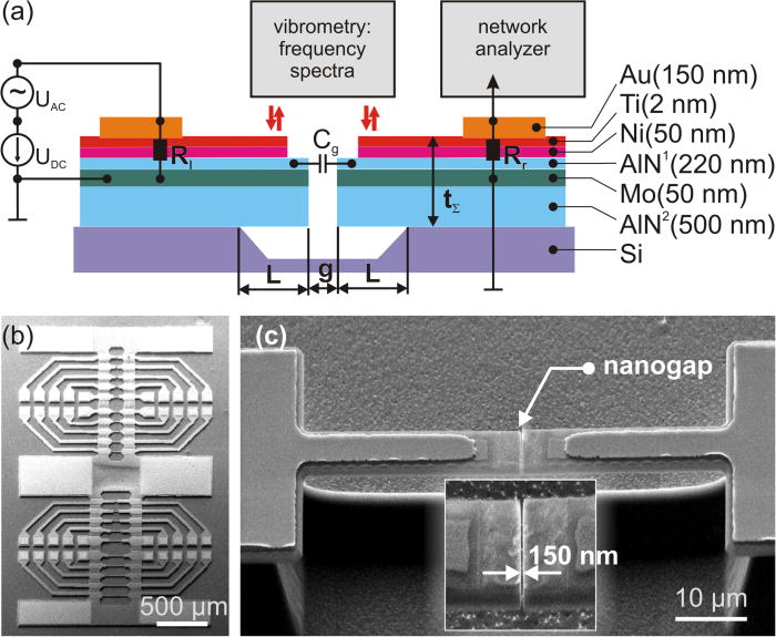 Electrostatically Coupled Vibration Modes In Unimorph Complementary Microcantilevers Applied