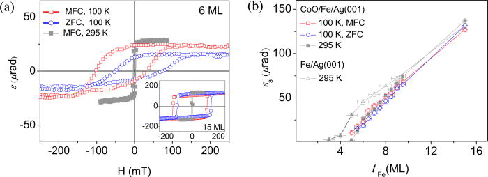 Magnetic and structural properties of the Fe layers in CoO/Fe/Ag(001 ...