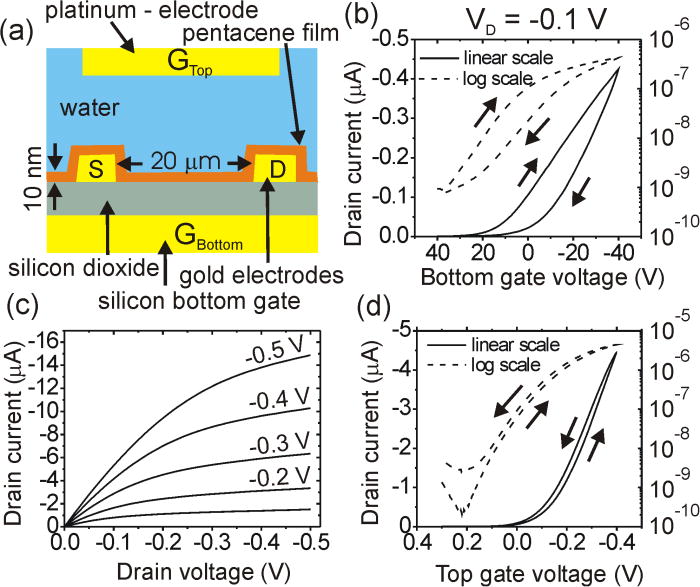 Double Layer Capacitance Measured By Organic Field Effect Transistor Operated In Water Applied 