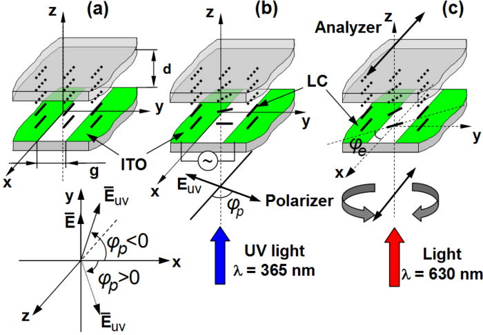 Effects of polarization azimuth in dynamics of electrically assisted ...