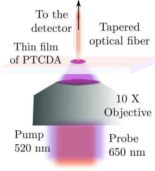 Pump-probe scanning near field optical microscopy: Sub-wavelength ...