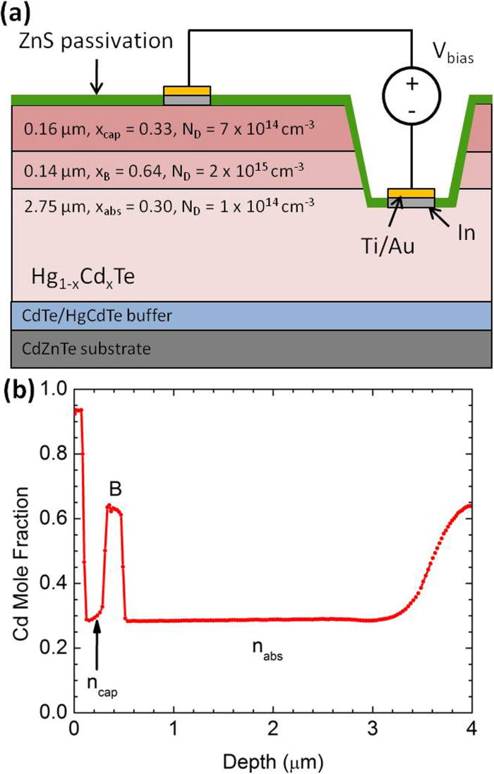 Mid-wave infrared HgCdTe nBn photodetector | Applied Physics Letters ...