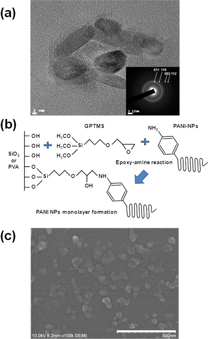 Organic memory device with polyaniline nanoparticles embedded as ...