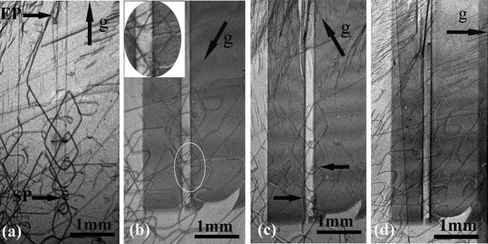 Basal plane dislocation multiplication via the Hopping Frank-Read ...
