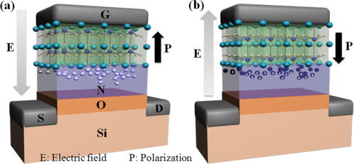 Charge trap flash memory using ferroelectric materials as a blocking ...