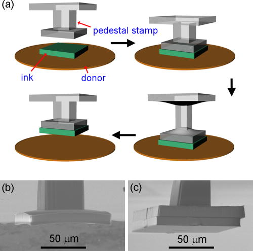 Enhanced adhesion with pedestal-shaped elastomeric stamps for transfer ...