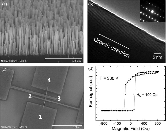 Room temperature single GaN nanowire spin valves with FeCo/MgO tunnel ...