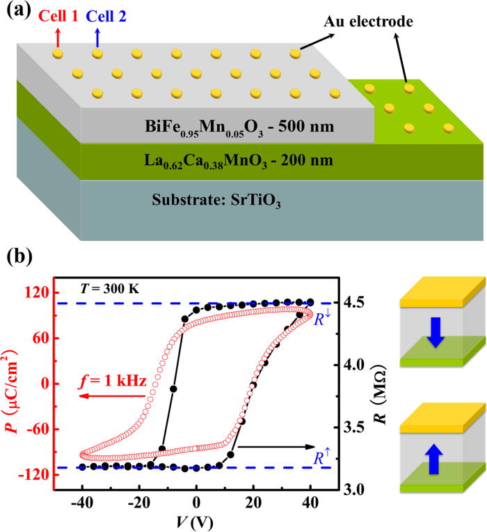 Multi-state resistive switching memory with secure information storage in Au/BiFe0.95Mn0.05O3 ...