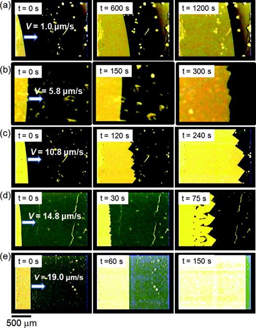 Formation mechanism of cellular structures during unidirectional growth ...