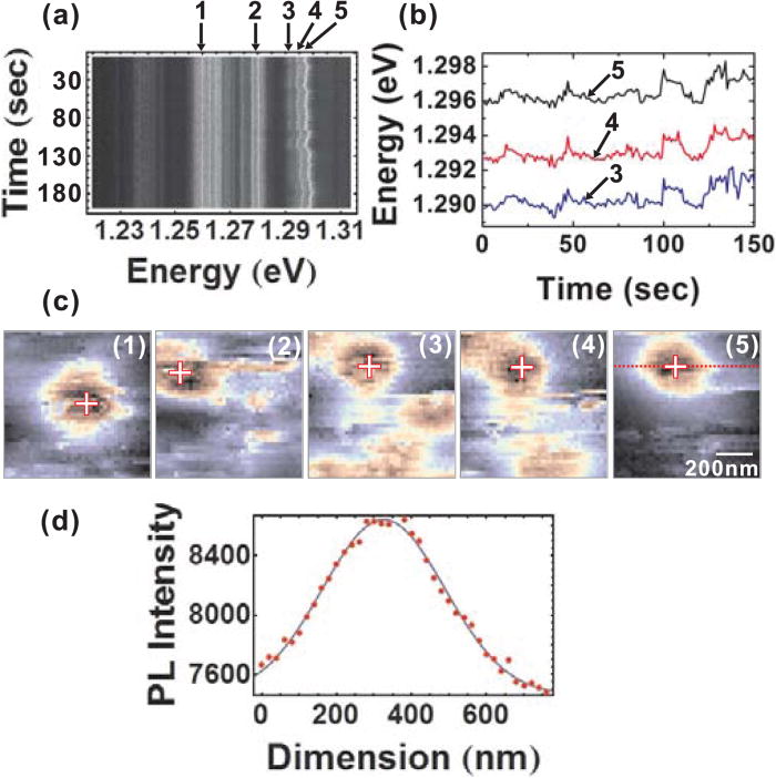 Spectral fluctuations of excitonic transitions of InGaAs single quantum ...