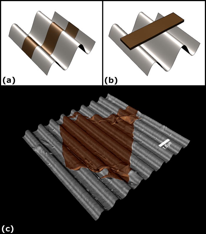 Observation of a snap-through instability in graphene | Applied Physics ...