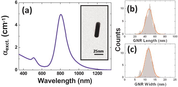 Absorption efficiency of gold nanorods determined by quantum dot ...