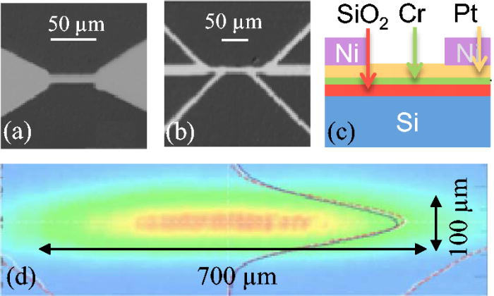 Experimental determination of thermal profiles during laser spike ...