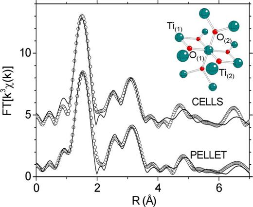 Structural Properties Of Rutile Tio2 Nanoparticles Accumulated In A