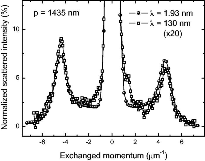 Time resolved pump-probe scattering in MnAs/GaAs(001): A look into the ...