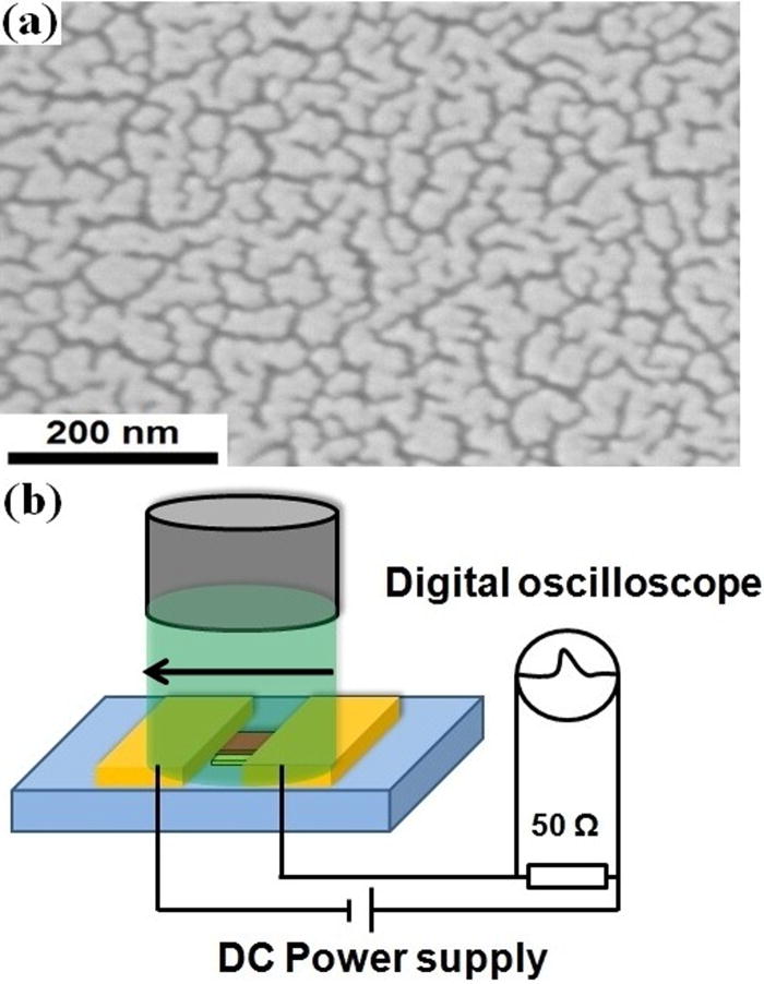 Partial rectification of the plasmon-induced electrical tunnel current ...