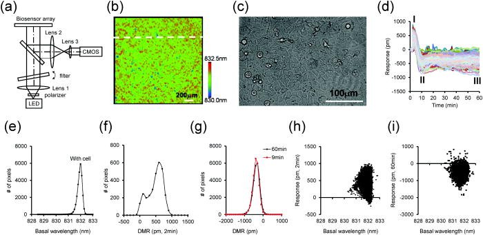 High resolution resonant waveguide grating imager for cell cluster ...