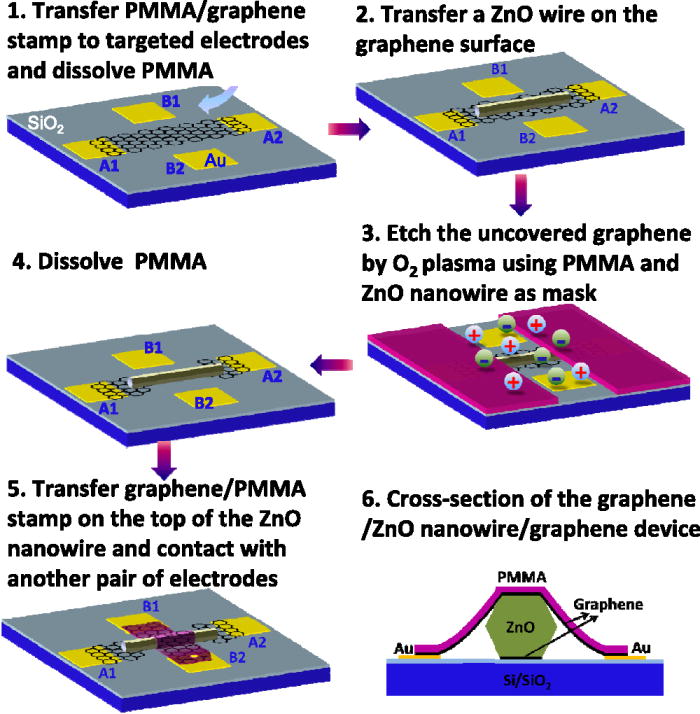 Graphene/ZnO nanowire/graphene vertical structure based fast-response ultraviolet photodetector ...