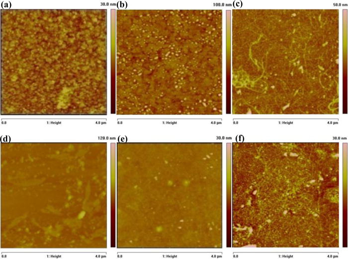 Probing characteristics of collagen molecules on various surfaces via ...