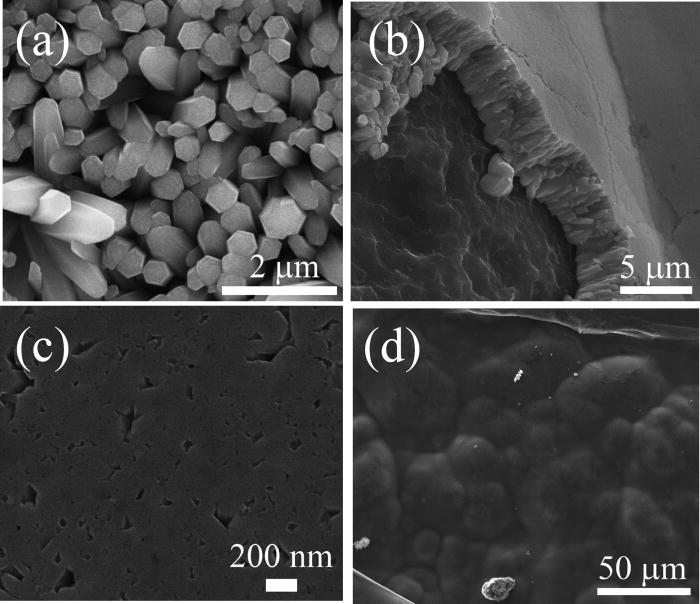Tunable device properties of free-standing inorganic/organic flexible ...