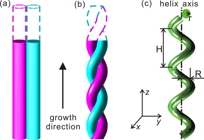 Spontaneous formation of double helical structure due to interfacial ...