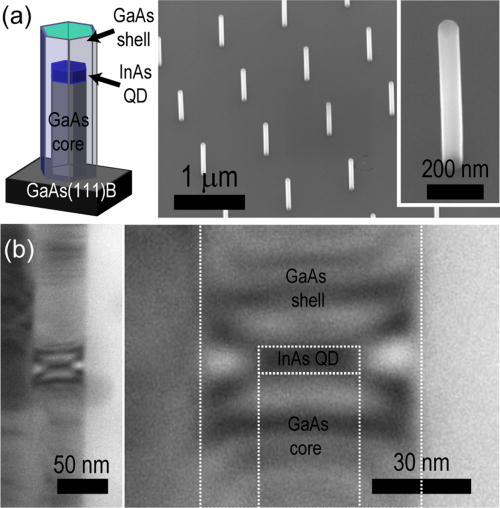 Site-controlled formation of InAs/GaAs quantum-dot-in-nanowires for ...