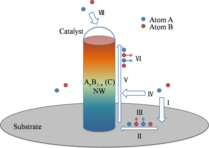 Kinetics of axial composition evolution in multi-component alloy ...