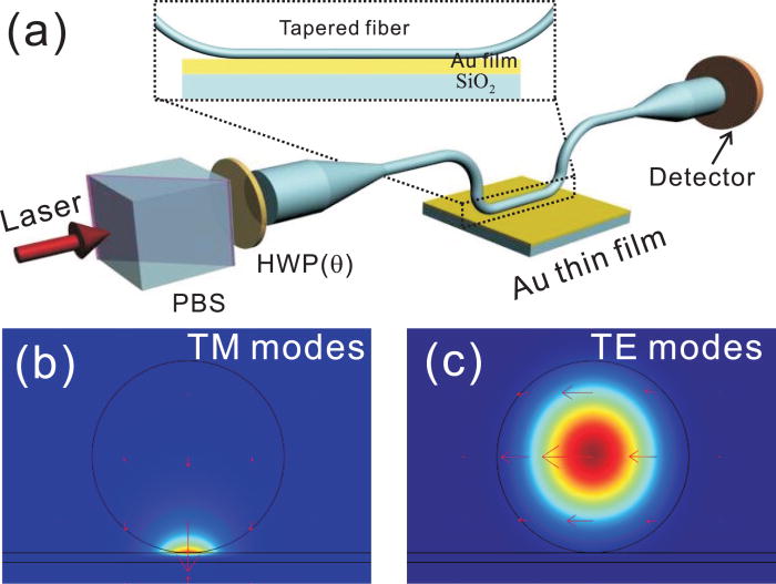 In-line high efficient fiber polarizer based on surface plasmon ...