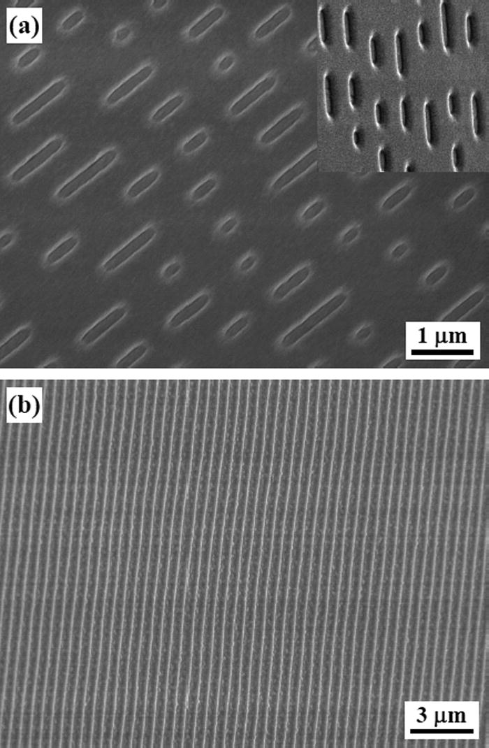Surface plasmon resonance and surface-enhanced Raman scattering sensing ...