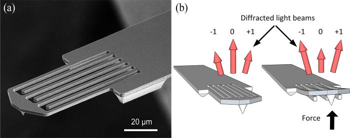 Tapping-mode force spectroscopy using cantilevers with interferometric ...