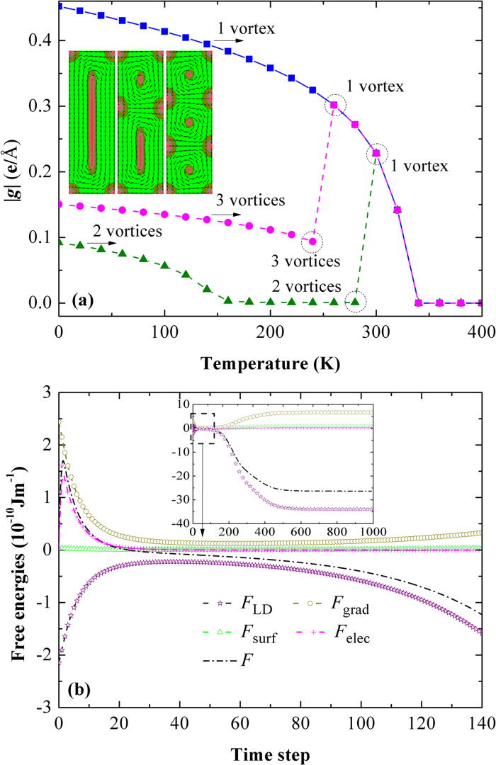 Phase field simulations of stress controlling the vortex domain ...