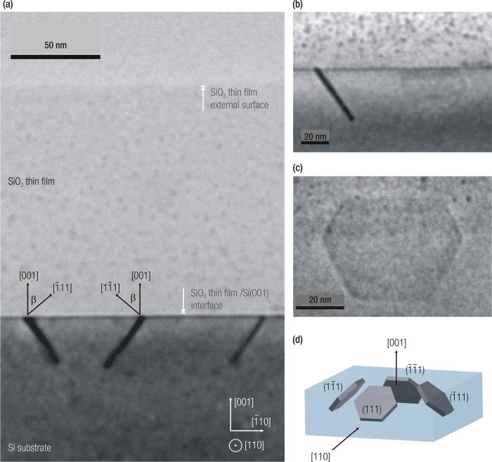 Formation of an extended CoSi2 thin nanohexagons array coherently ...